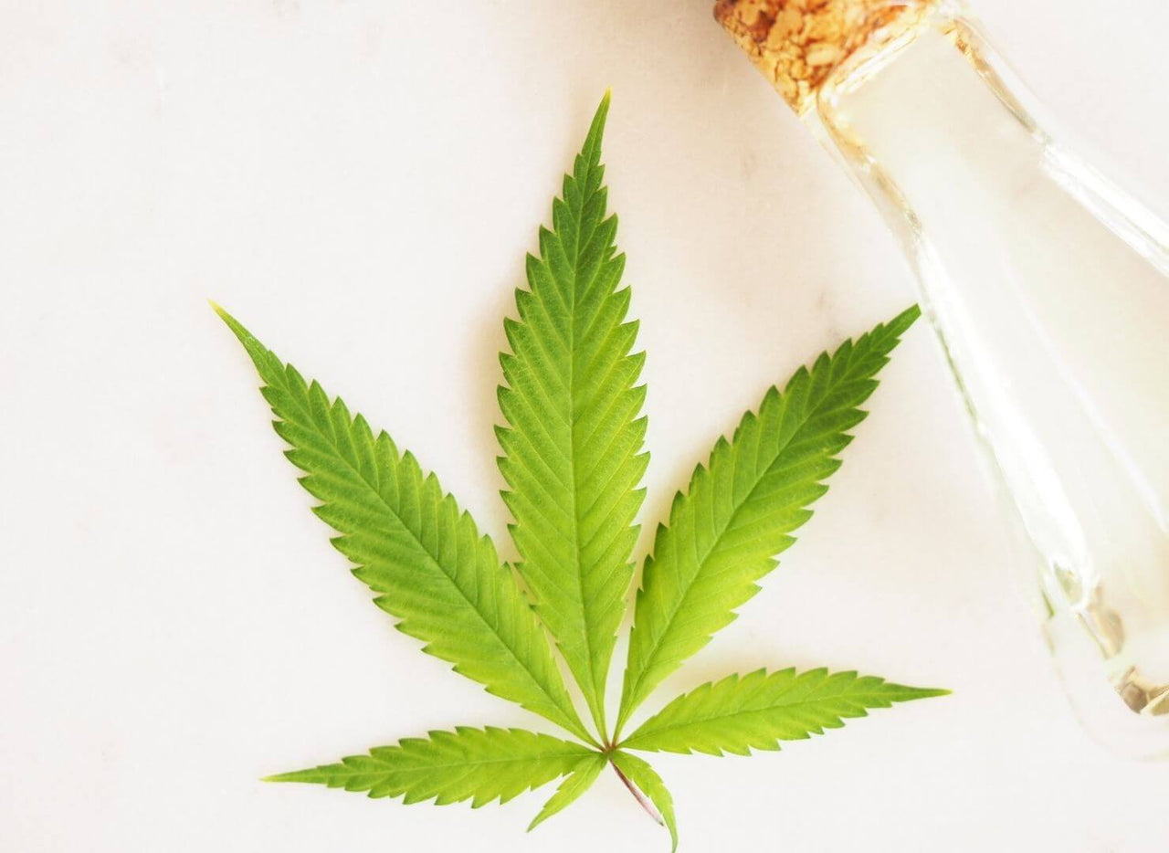 How to Make THC Drinks—The Easy Way to Make Buzztails – nama