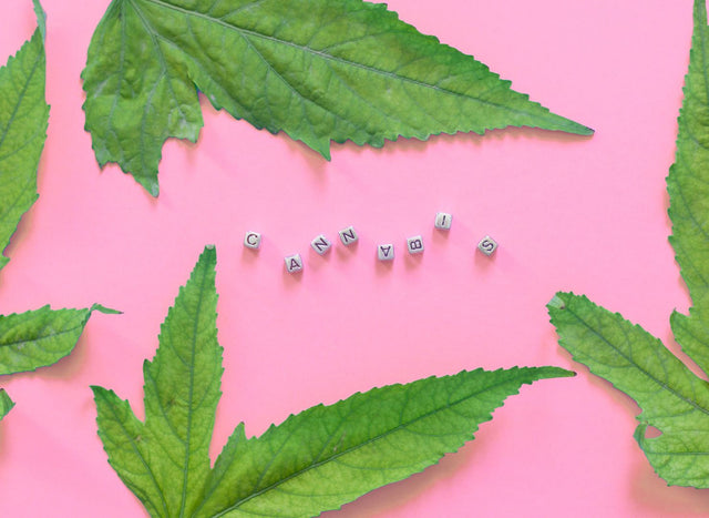 All about sativa-dominant hybrids | nama CBD