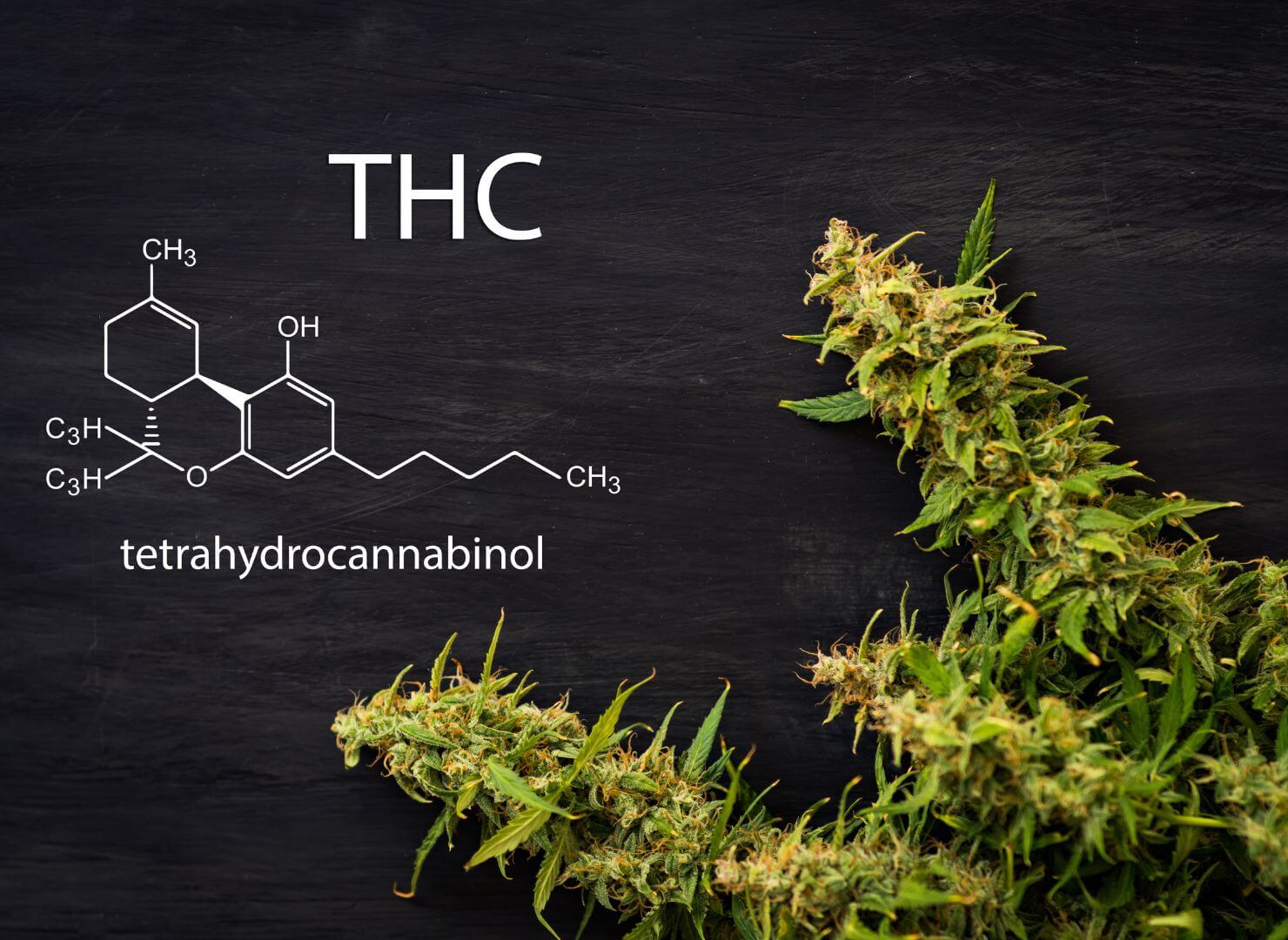 Should I try microdosing THC for anxiety? | nama CBD